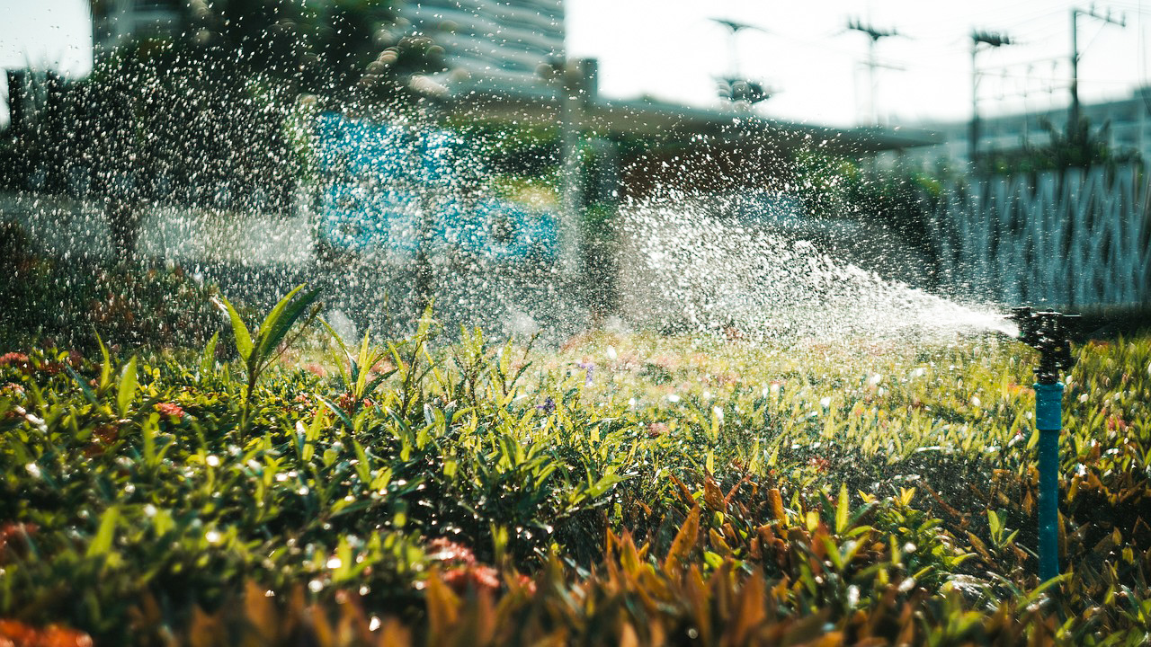 Sistema de riego por aspersión: ¿Qué tipo de aspersor es ideal? - HERLY